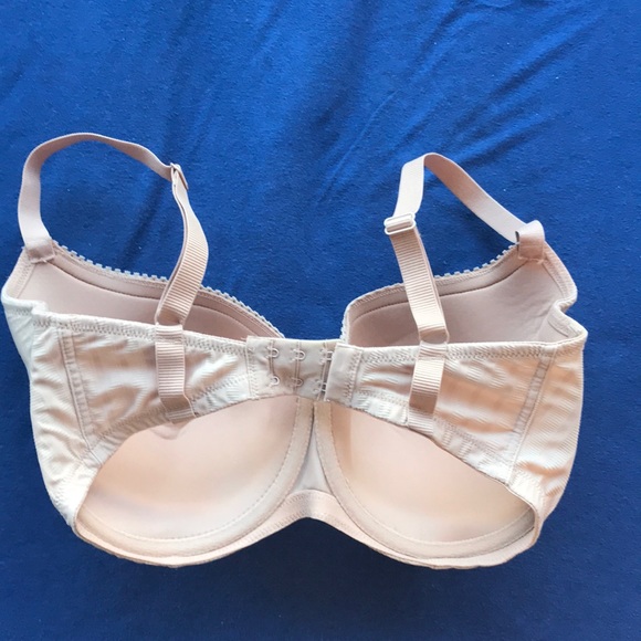 cleo | Intimates & Sleepwear | Nwot Cleo Panache Maddie Bra 3h 30k ...